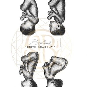 Fetal Positioning: Flexion - Etsy