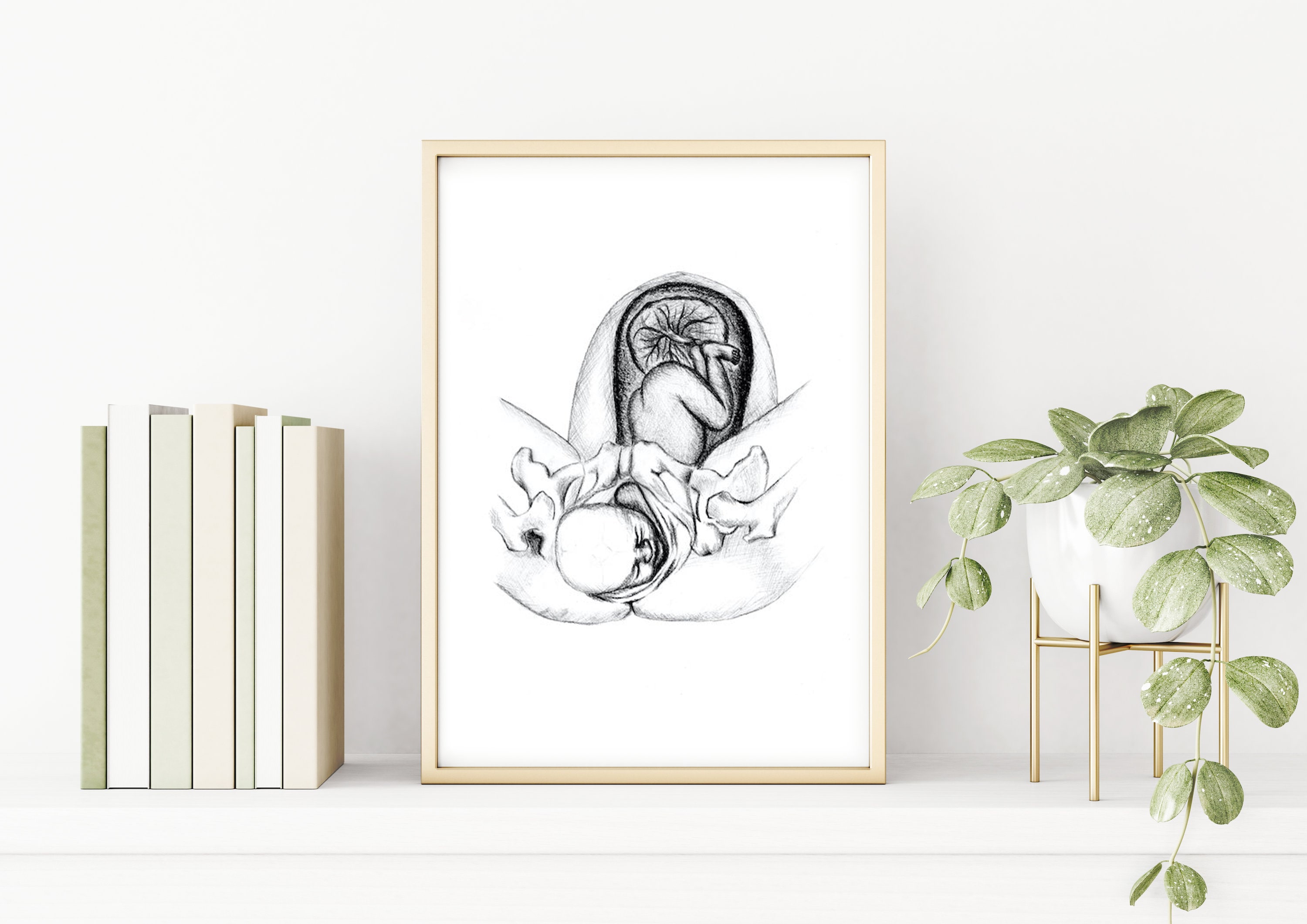 Cardinal Movements of Labor Series Set of Five Prints Birth/doula ...