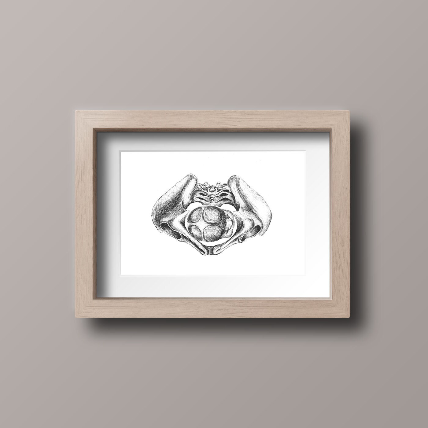 Flexed Face Pelvis Presentation - Etsy