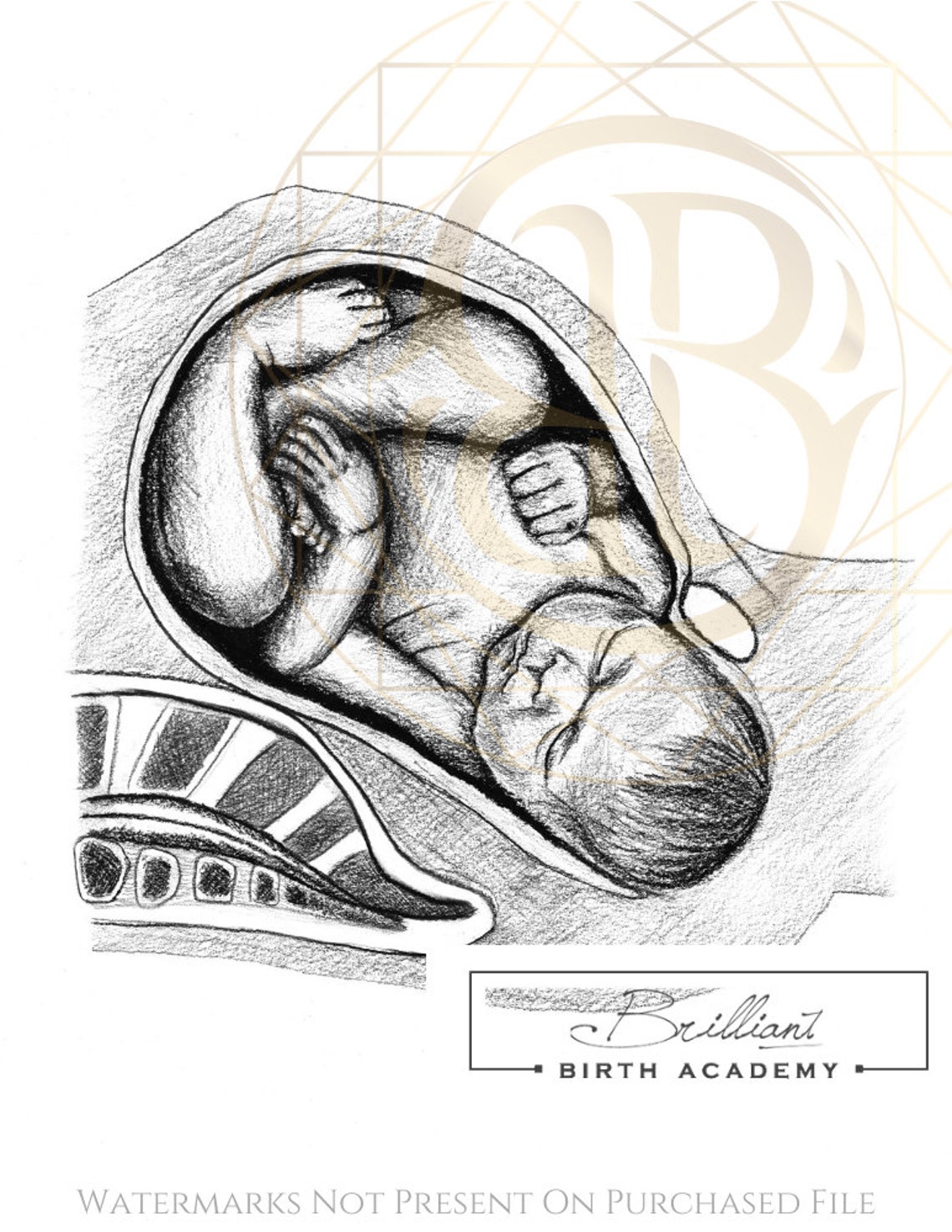 Shoulder Dystocia: Birth/doula Art Printable - Etsy