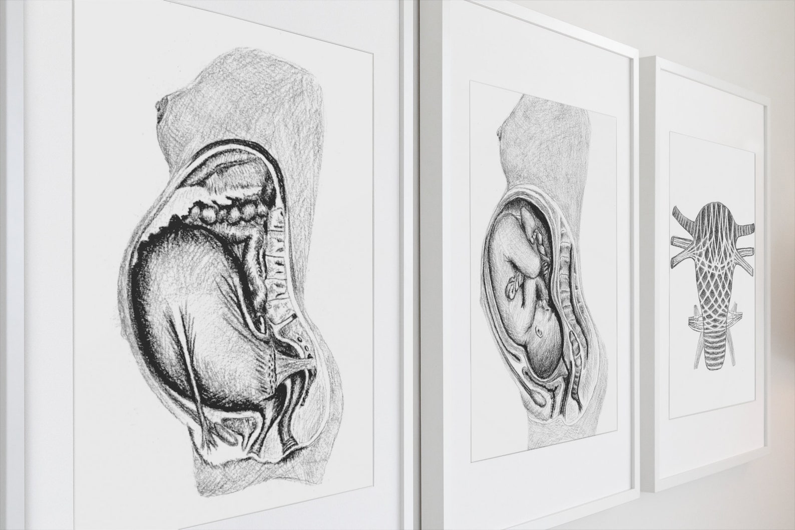 Unborn Child in the Womb: Birth/doula Art Printable - Etsy