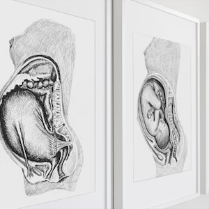 Unborn Child in the Womb: Birth/doula Art Printable - Etsy