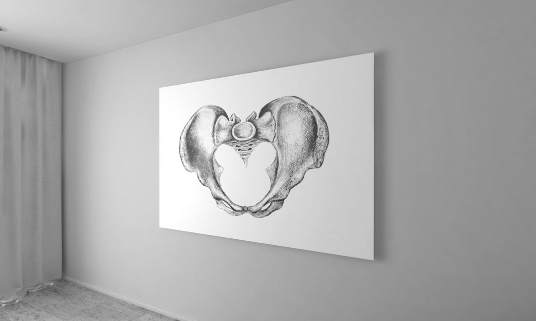 Female Pelvis: Birth/doula Art Printable - Etsy