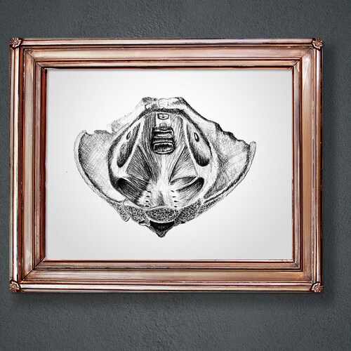 Compound Presentation: Birth/doula Art Printable - Etsy