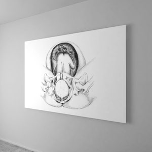 Cardinal Movements: Flexion - Etsy