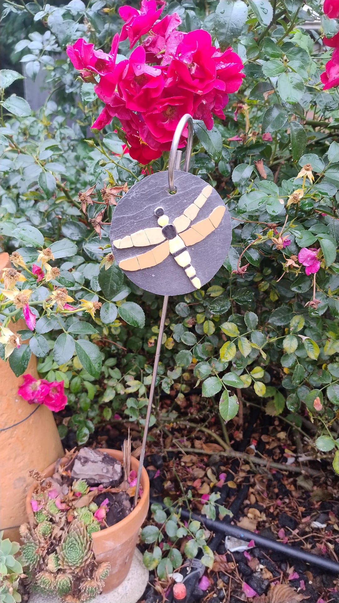 Decorative Mosaic Dragonfly Plant Tutor on Slate Round - Etsy