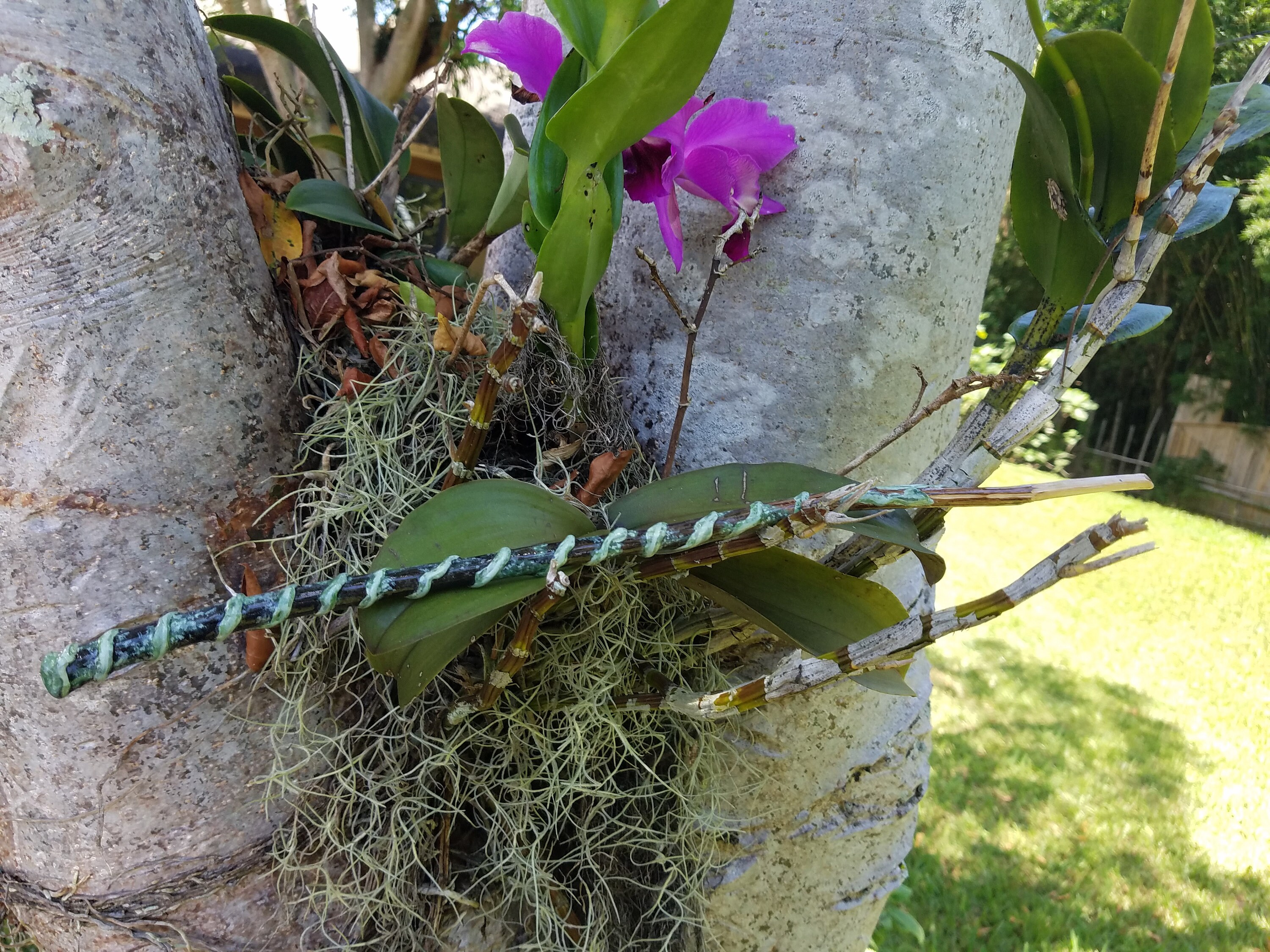 Wooden Wand With Painted Raised Green Vines - Etsy