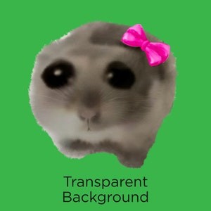 Digital Sad Hamster Images | High-quality Transparent Background ...
