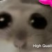 Sad Hamster Meme Images | Watercolor PNG With Transparent Background ...