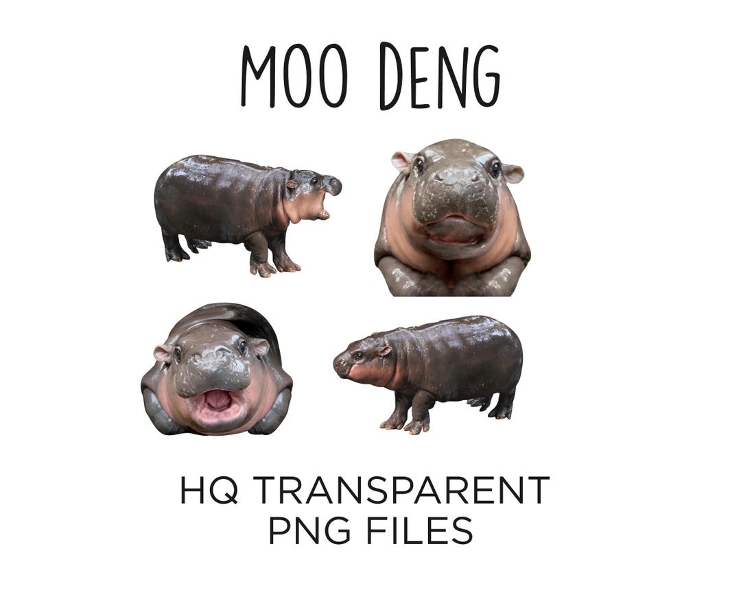 Moo Deng Hippo Clipart – Transparent PNG Files, Digital Art Set - Etsy UK