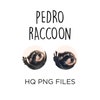 Dancing Pedro Raccoon Digital Files Viral Social Media Meme 2500 Px ...