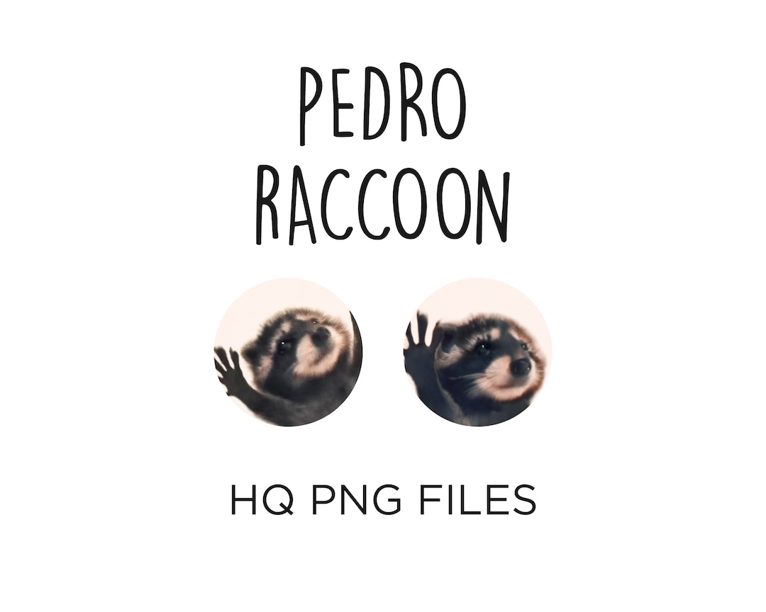 Dancing Pedro Raccoon Digital Files | Viral Social Media Meme | 2500 Px ...