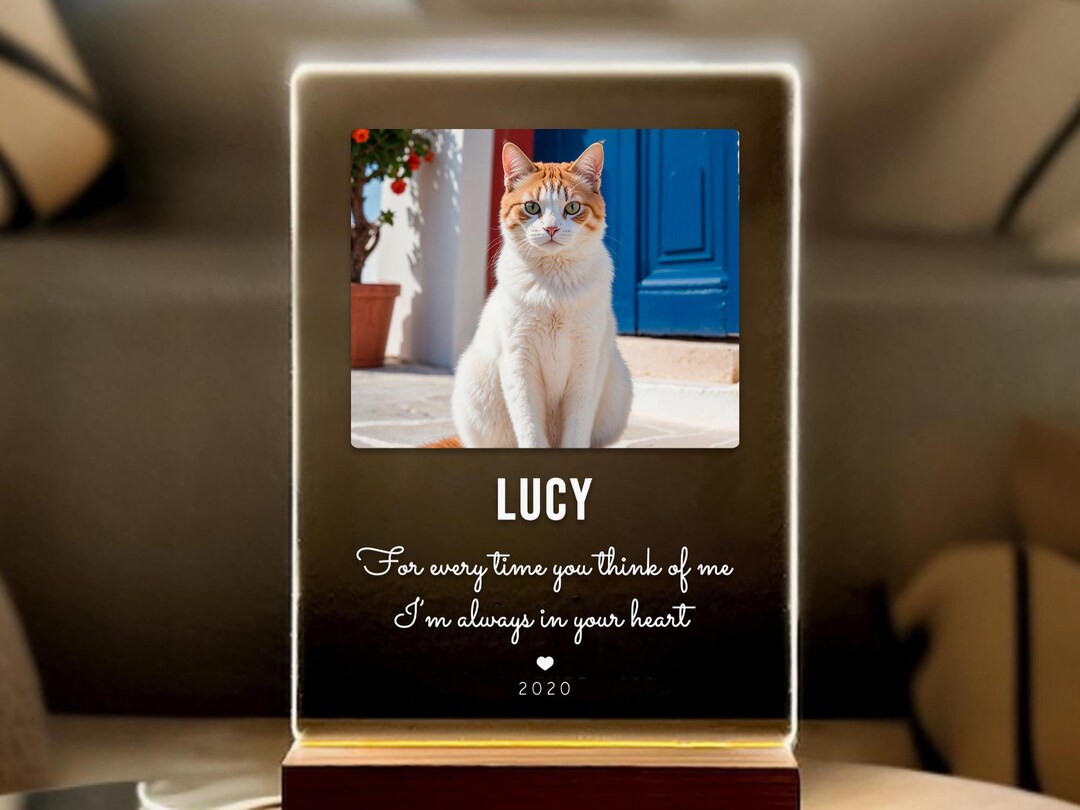 Cat Memorial Gift, Light up Pet Photo Plaque, Gifts for Cat Loss ...