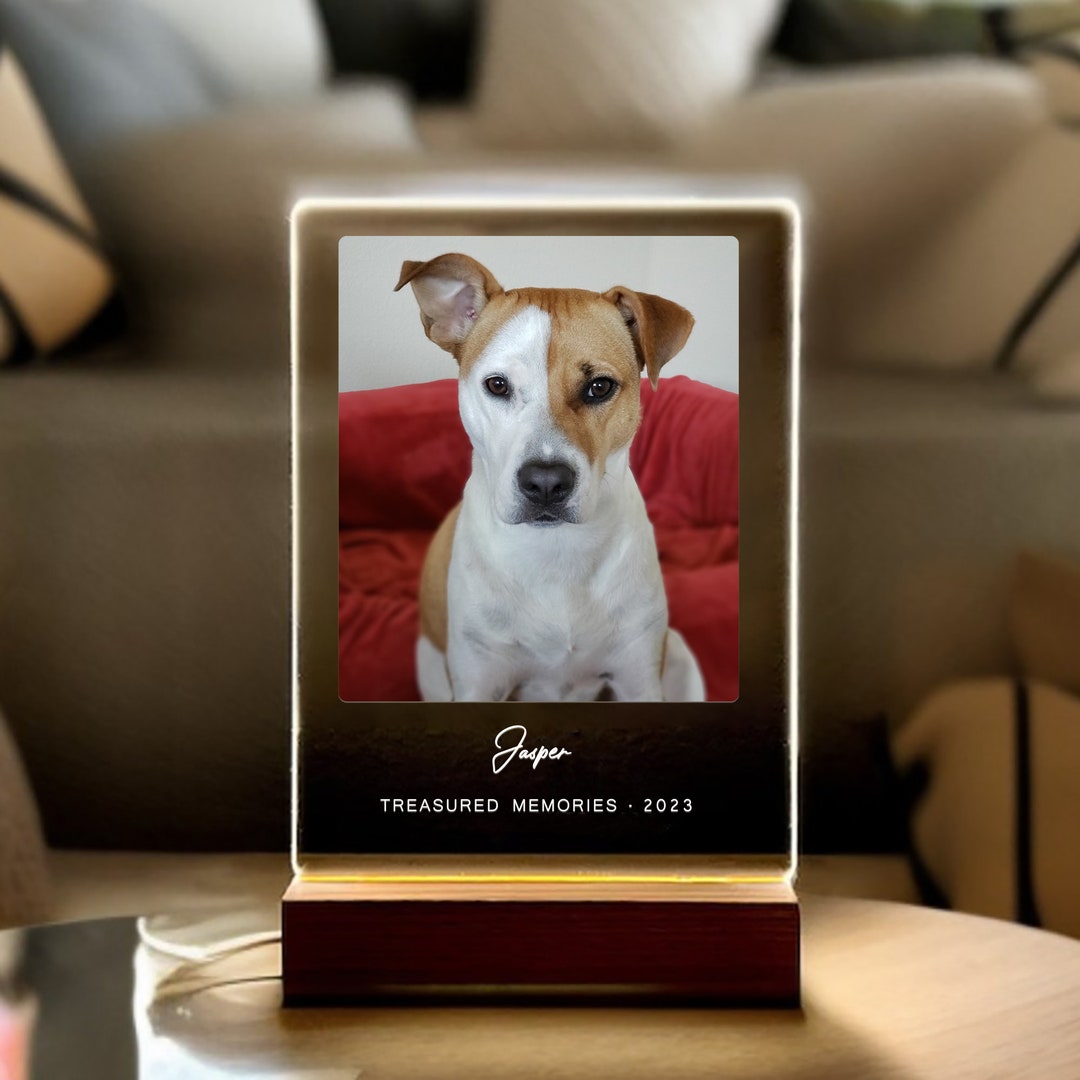 Light up Dog Memorial Plaque Personalized Gifts for Pet Loss - Etsy