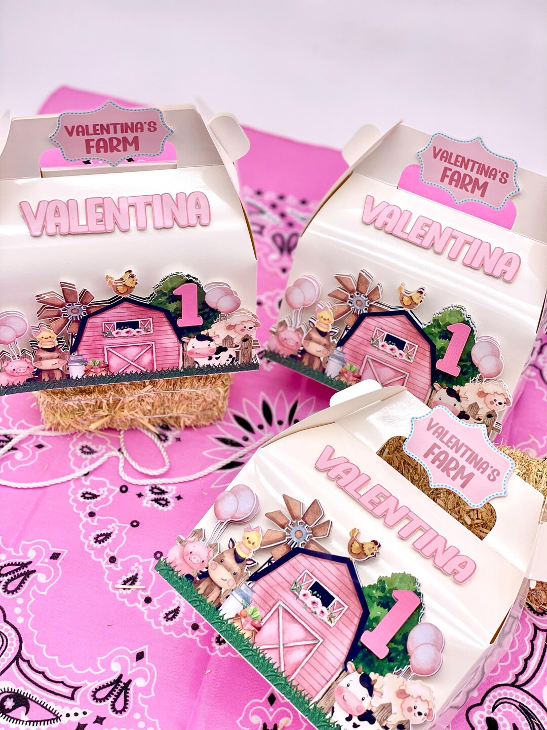 Farm Birthday Boxes Baby Girl Farm Farm Boxes Birthday Boxes Birthday ...