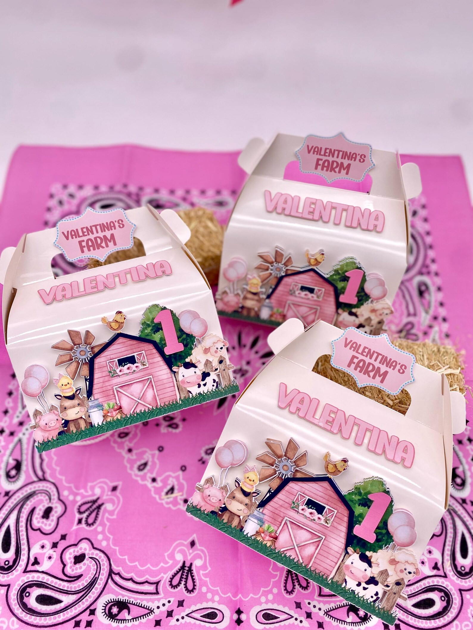 Farm Birthday Boxes Baby Girl Farm Farm Boxes Birthday Boxes Birthday ...