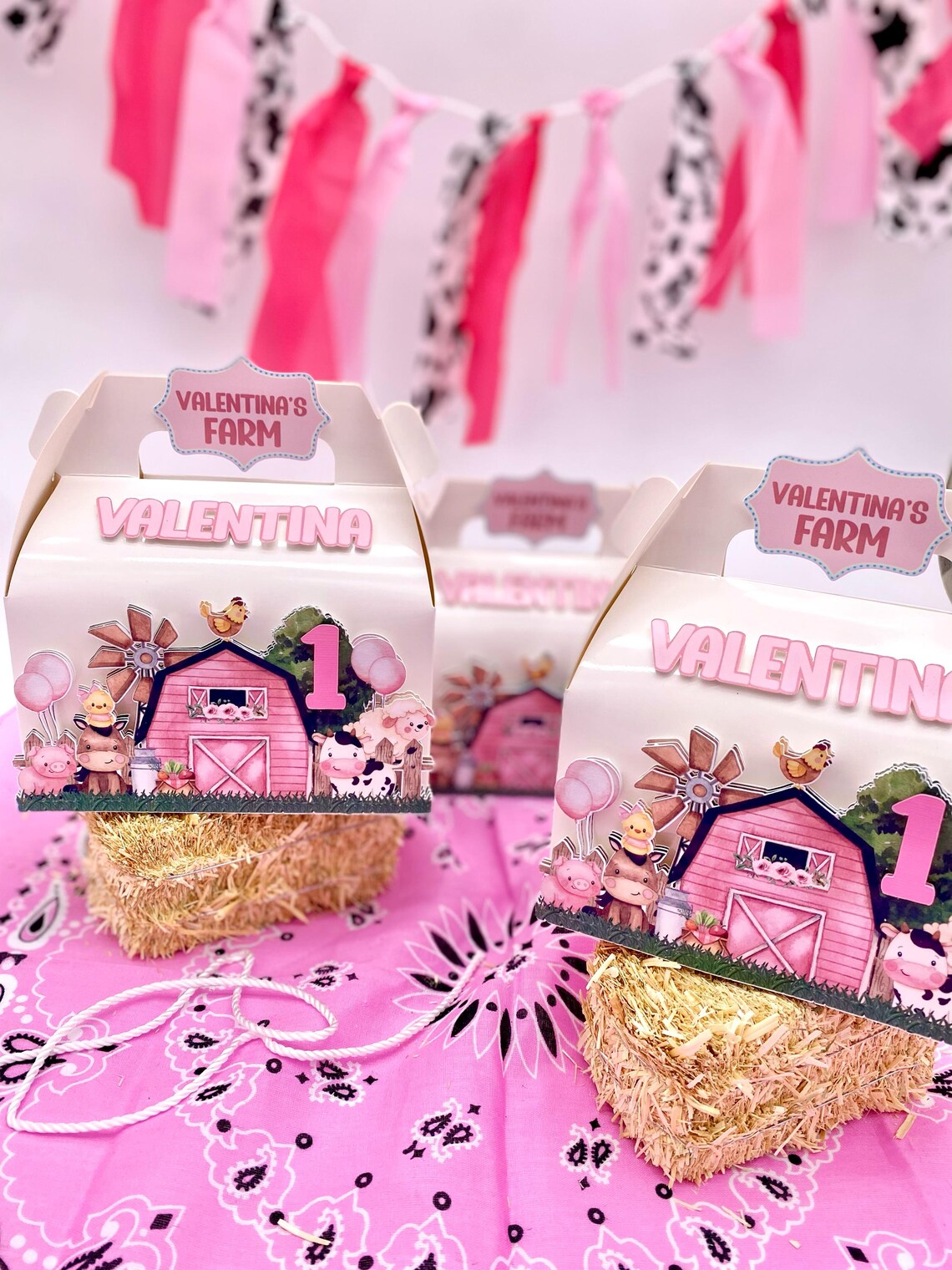 Farm Birthday Boxes Baby Girl Farm Farm Boxes Birthday Boxes Birthday ...