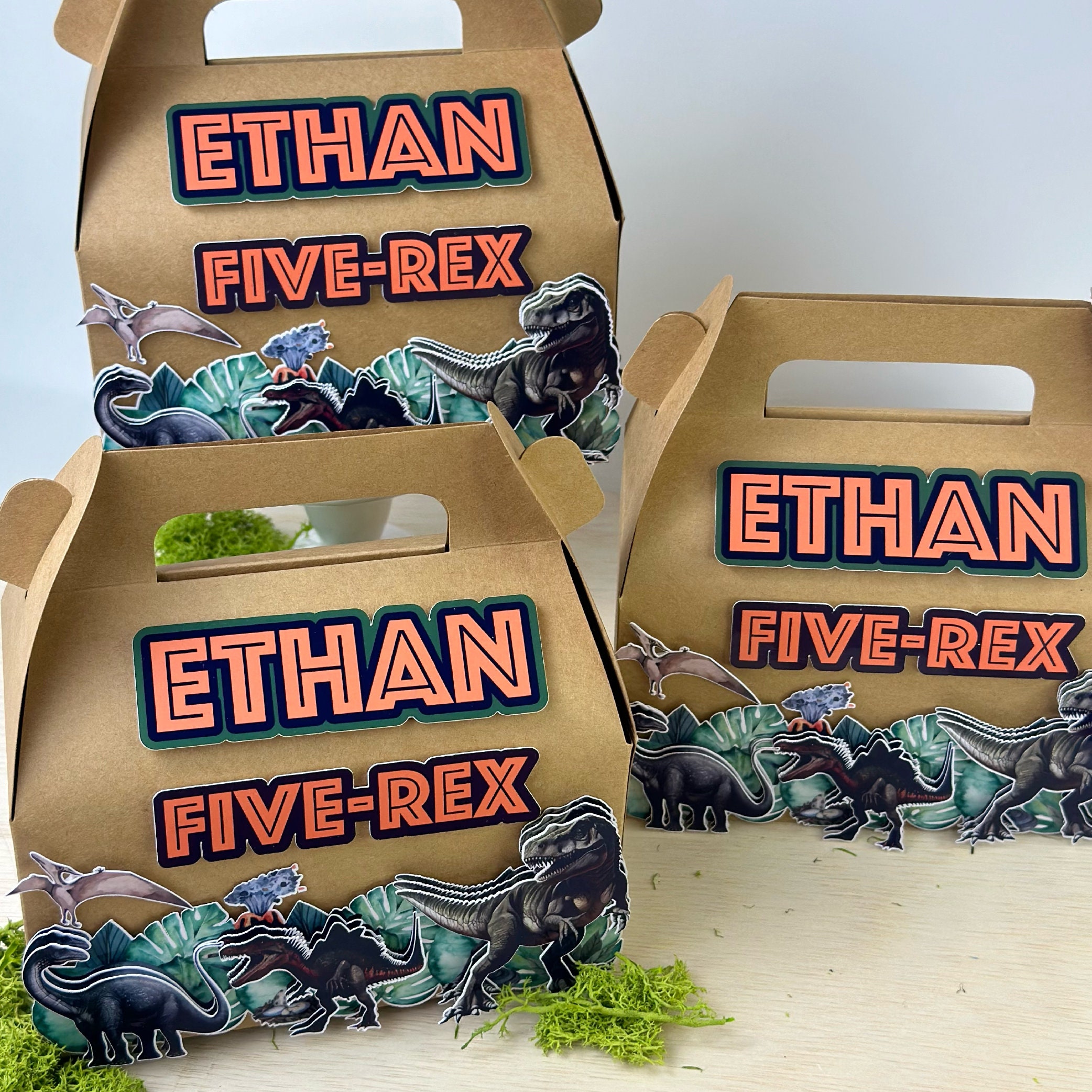 Dinosaur Rex Birthday Boxes Party Boxes Animals Prehistoric - Etsy