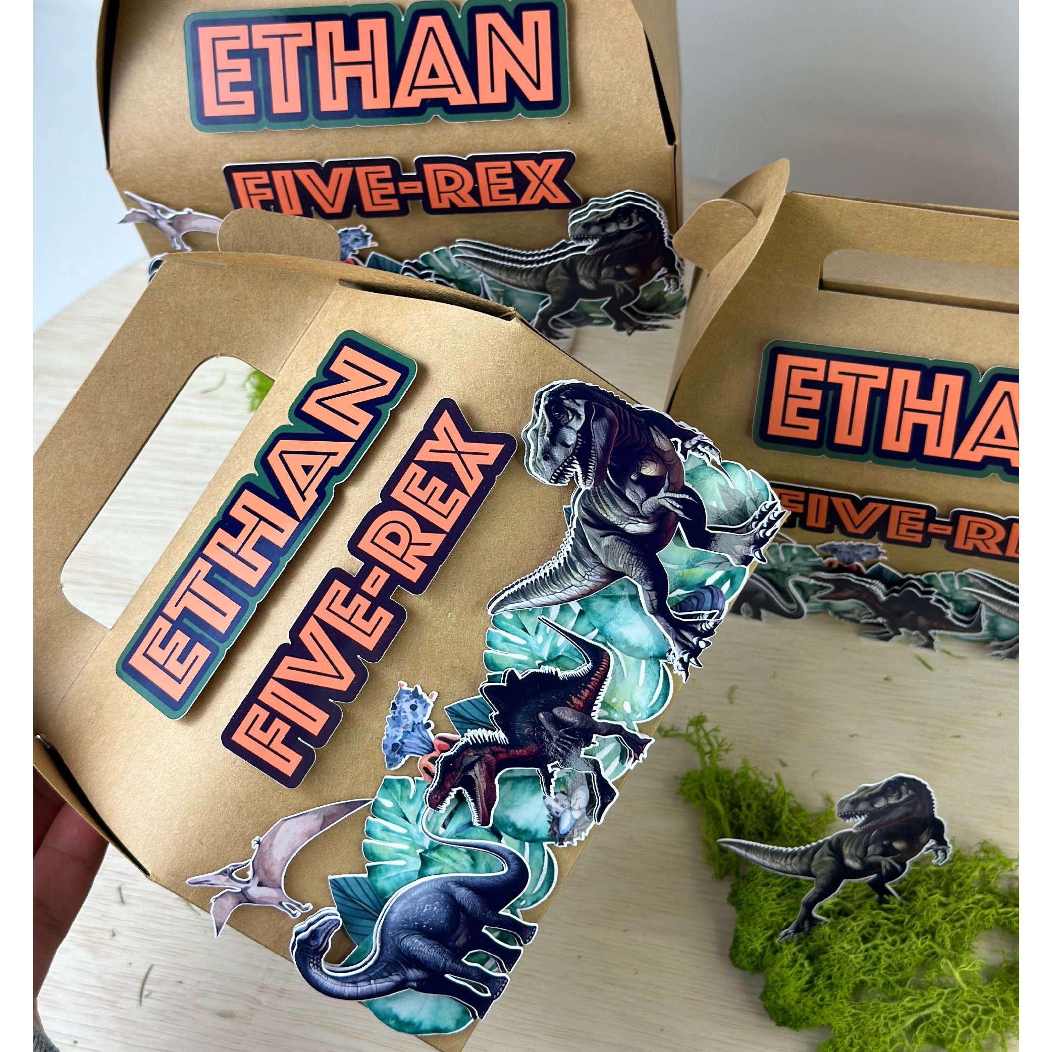 Dinosaur Rex Birthday Boxes Party Boxes Animals Prehistoric - Etsy