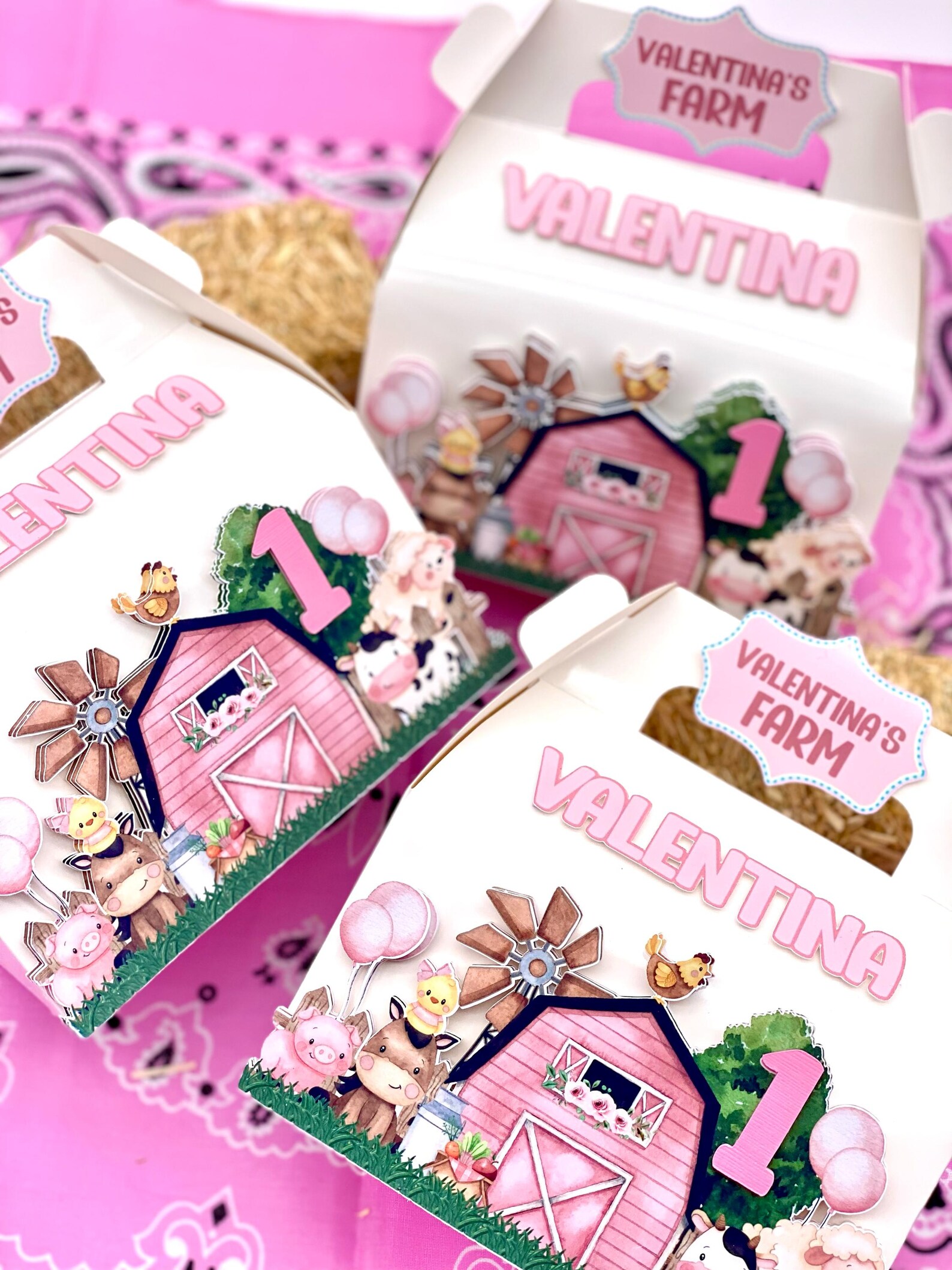 Farm Birthday Boxes Baby Girl Farm Farm Boxes Birthday Boxes Birthday ...