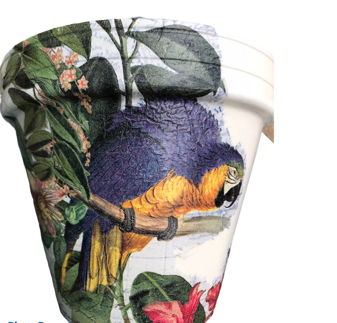 Parrot Plant Pot ,flower Pot With Parrot and Tropical Leaves ...