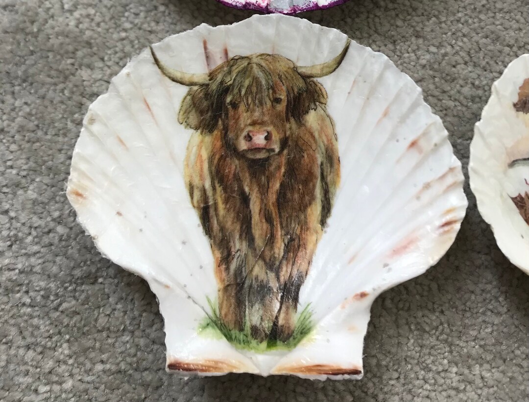 Scallop Shell With Highland Cow Design Highland Cow Trinket - Etsy