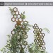Plant Trellis Pdf, Plant Trellis Svg, Plant Trellis Pattern, Wood Plant ...