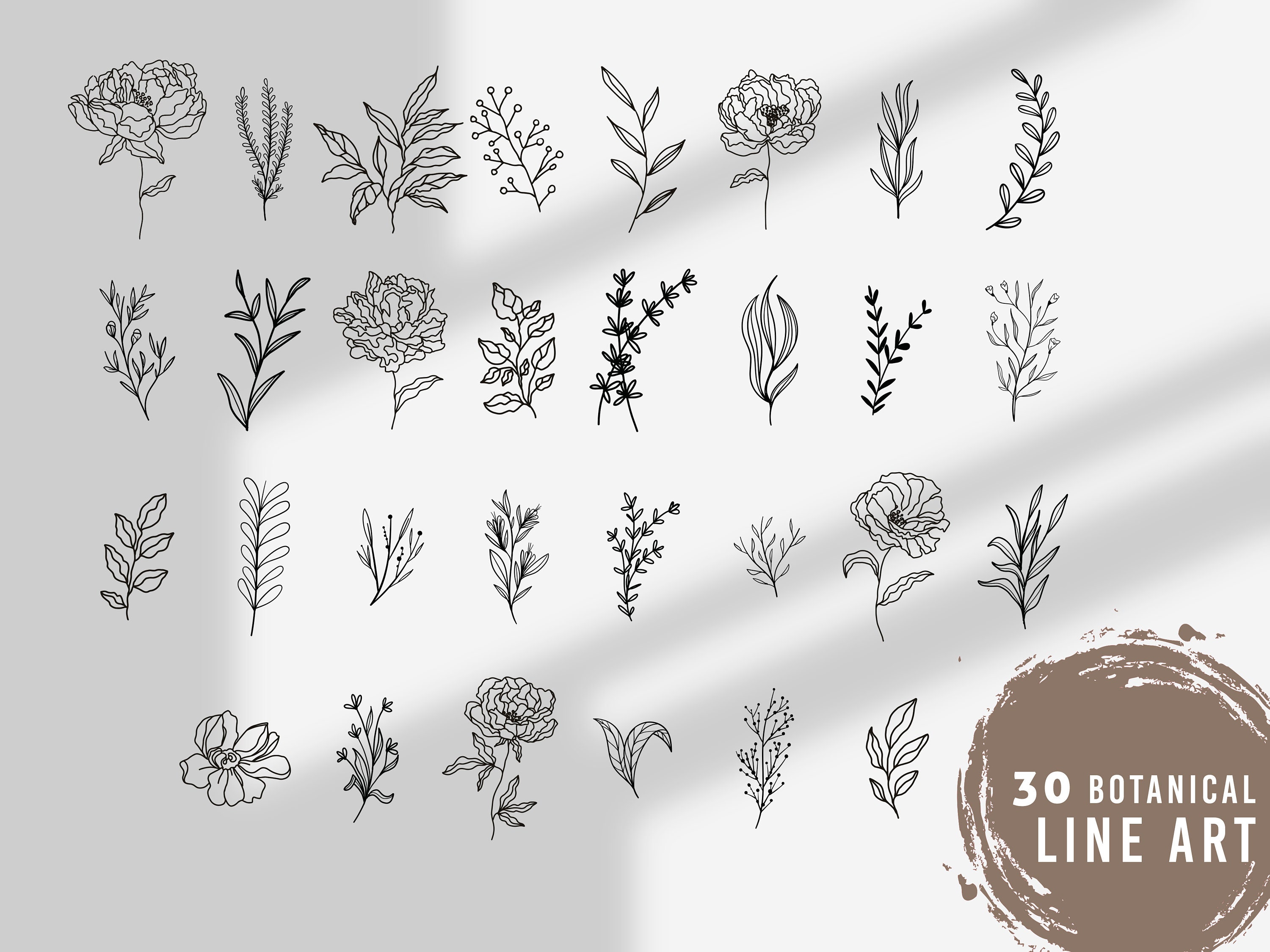 Botanical Clipart Wildflowers Clip Art Line Art Floral Clip - Etsy