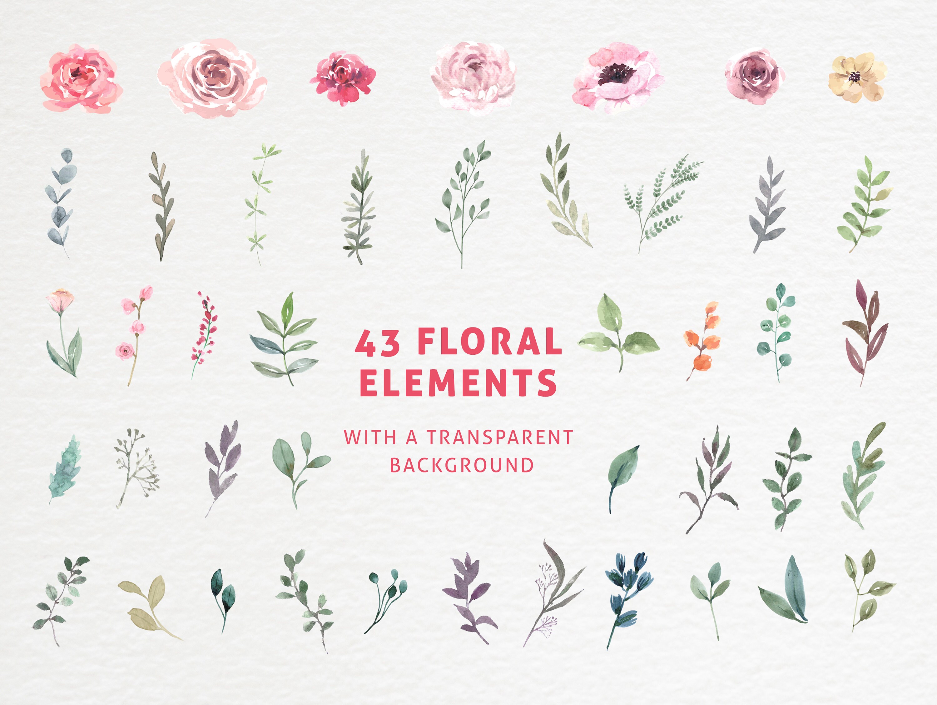 Floral Watercolor Clipart, Floral Clipart Peonies, Floral Arrangement ...