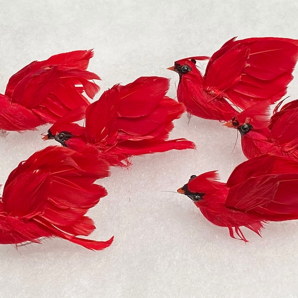 Shop Artificial Birds - Etsy