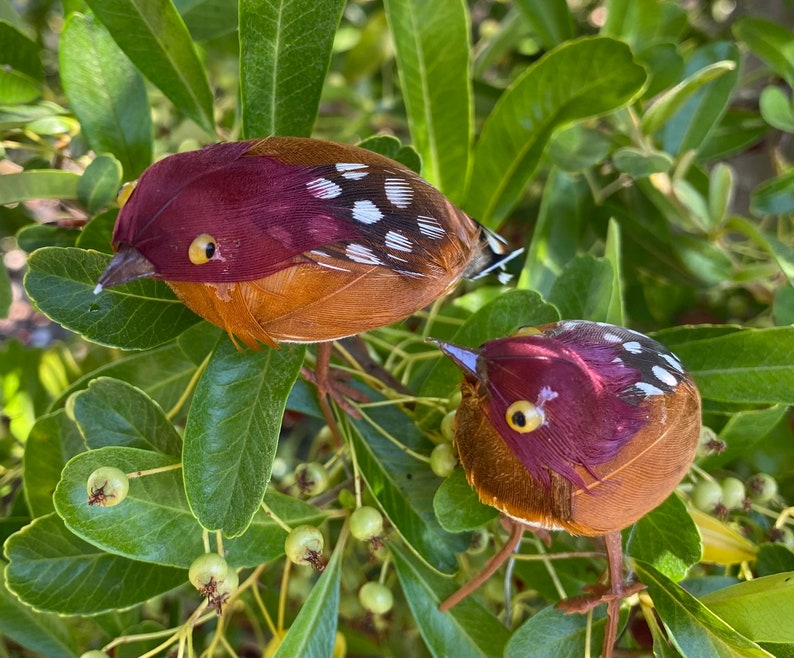 Miniature Brown Feathered Partridge-set of 6 Partridges - Etsy