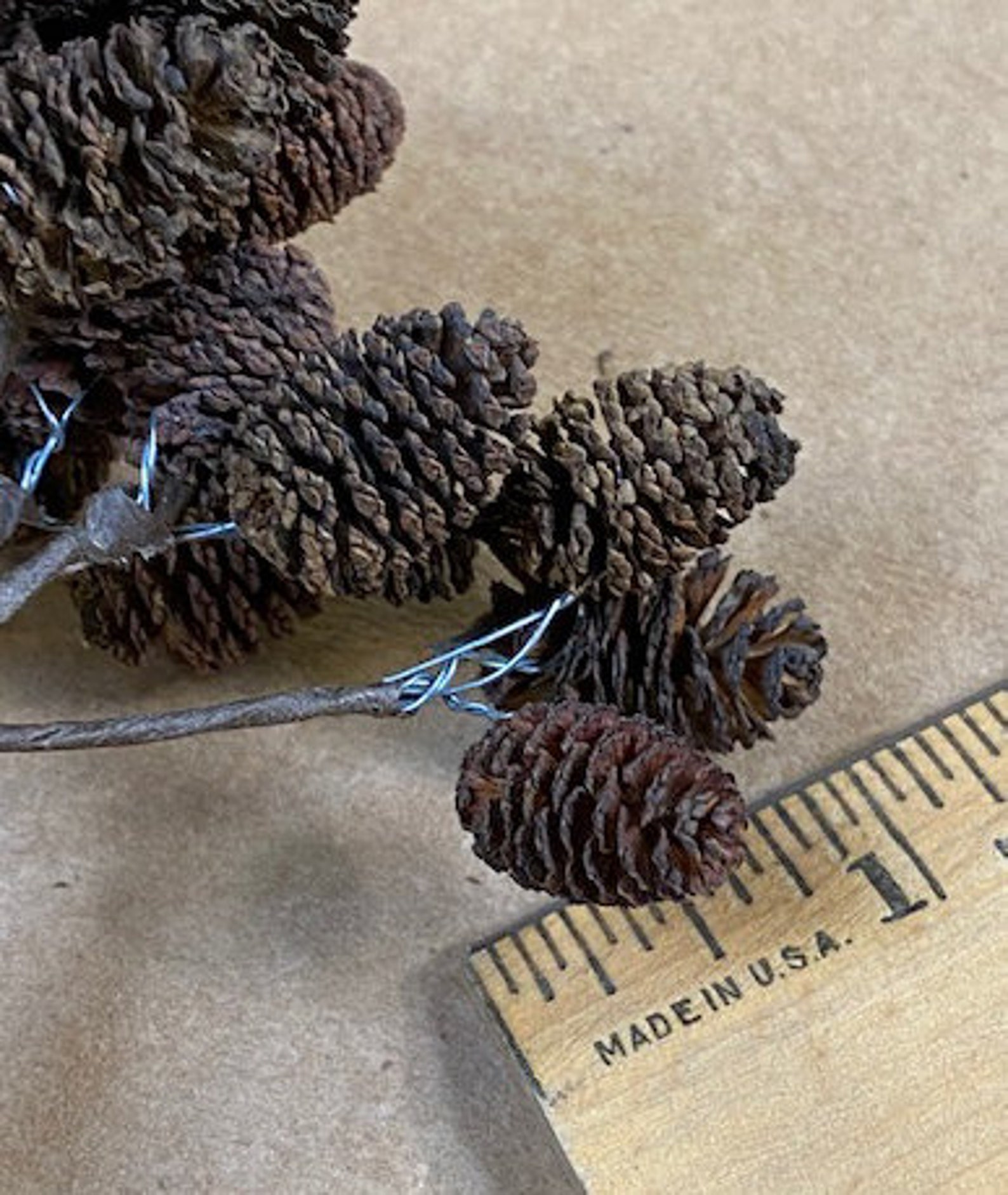 Miniature Pine Cones - Etsy