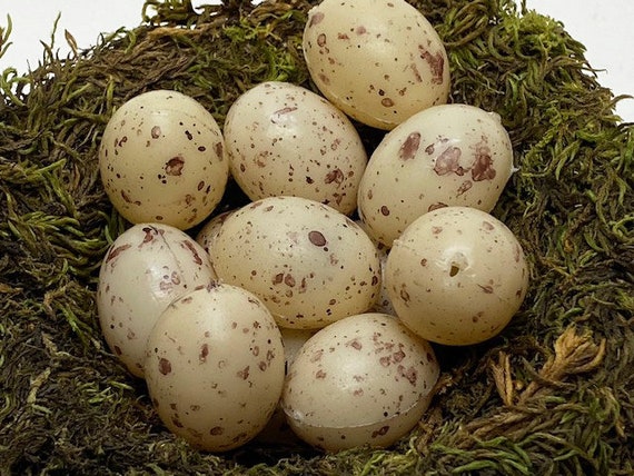 Miniature Speckled Bird Eggs Tan 72 Pieces Approximately 1 Inch Etsy