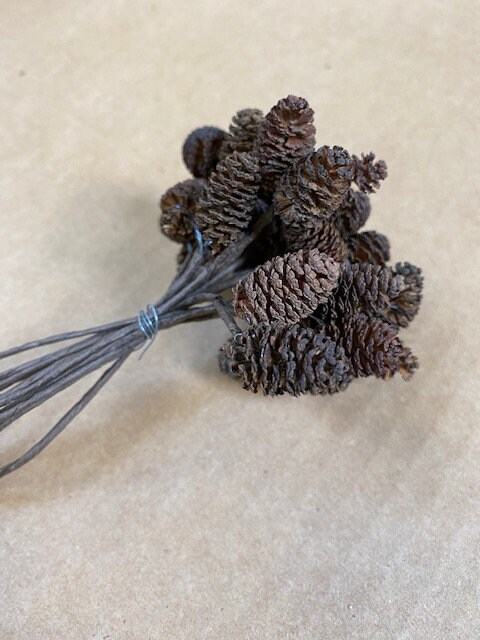 Miniature Pine Cones - Etsy