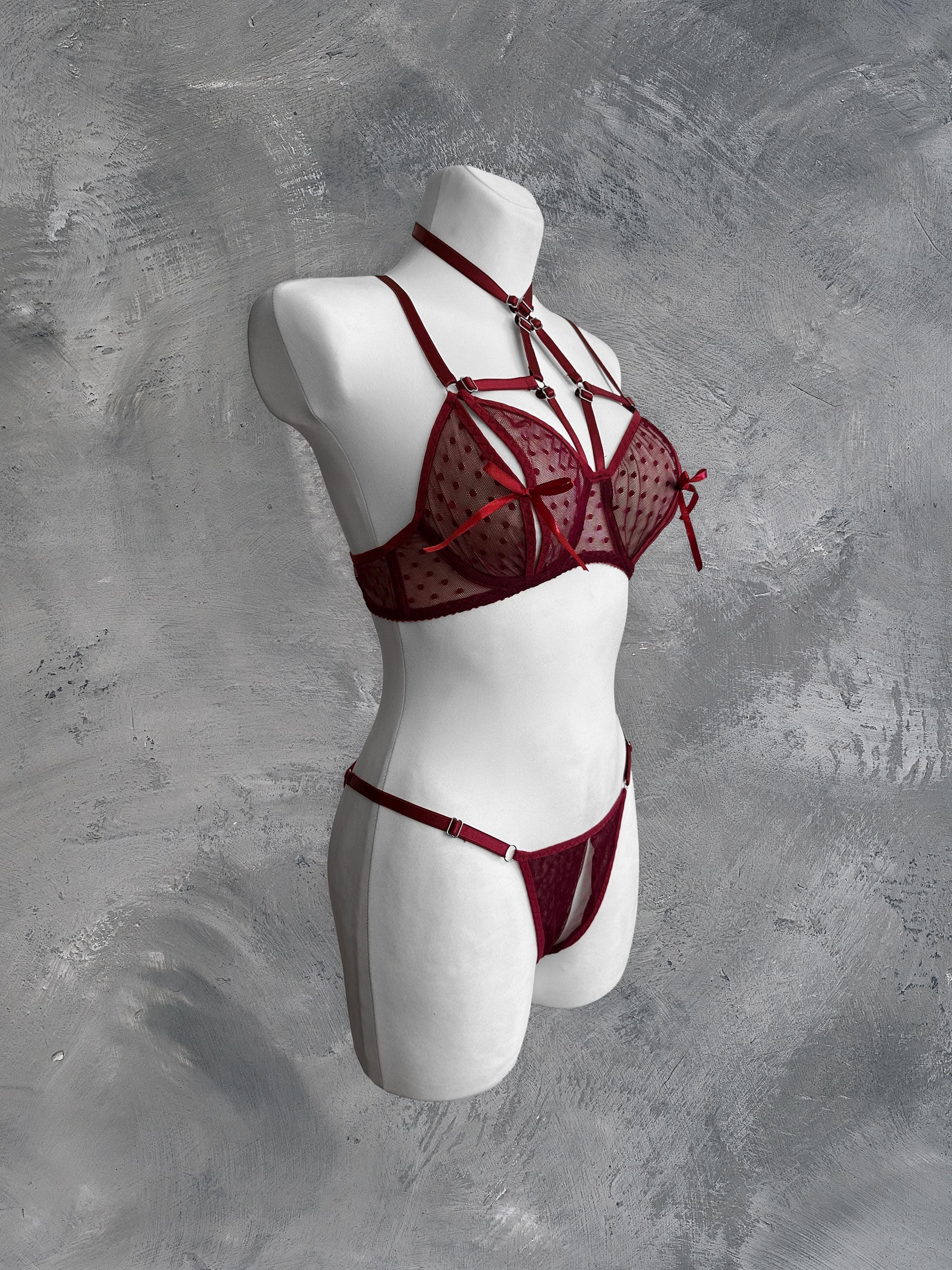 Seductive Lingerie Open Nipple Bra Uncensored Lingerie Open Back