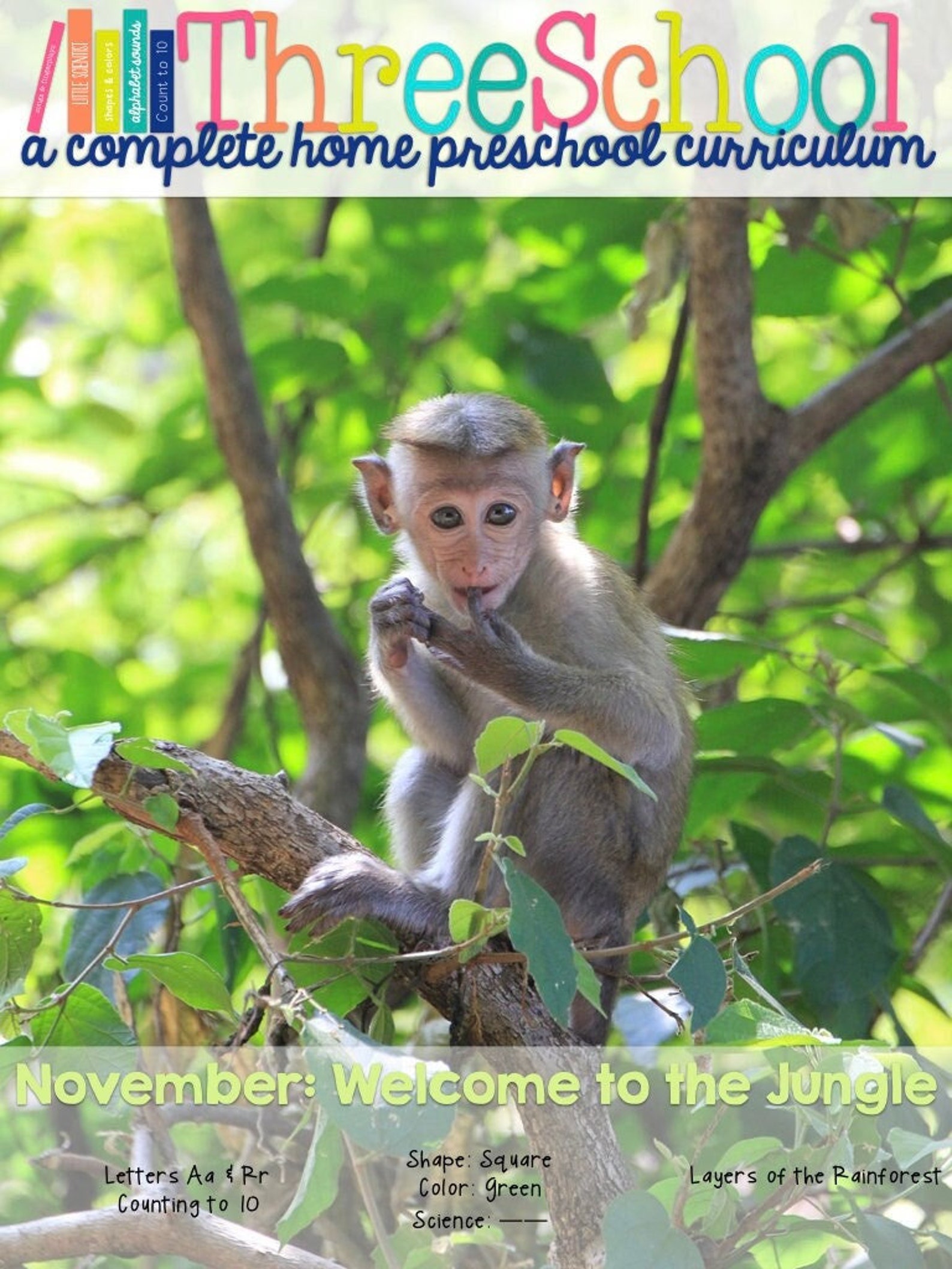 Home Preschool Curriculum | Threeschool November | Jungle Theme Unit ...