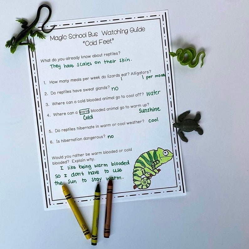 Magic School Bus Episode Guides - Worksheets for ALL Episodes - Etsy