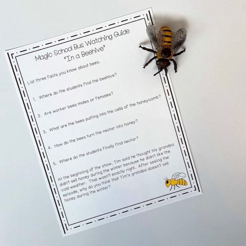 Magic School Bus Episode Guides - Worksheets for ALL Episodes - Etsy