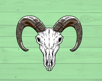 Ram Skull Decal - Etsy