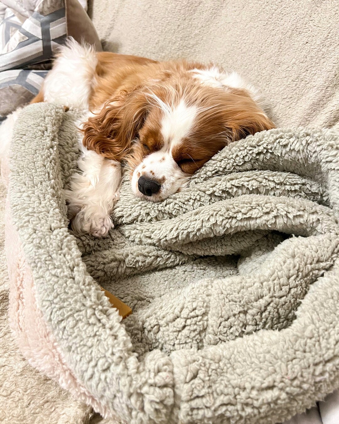 Cuddle Fleece Snuggle Sack Dog Cuddle Bag Pet Sleeping - Etsy