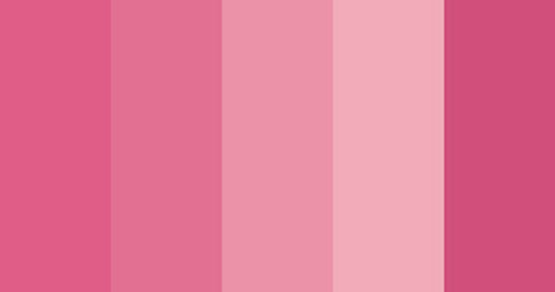 Top 8 Pink Paint Colors Designers Use - Get That Designer Look - Etsy