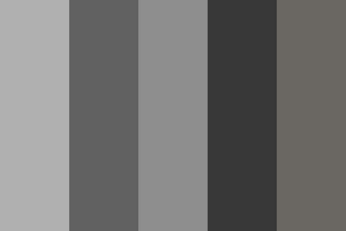 Top 12 Gray Paint Colors Designers Use - Get That Designer Look - Etsy