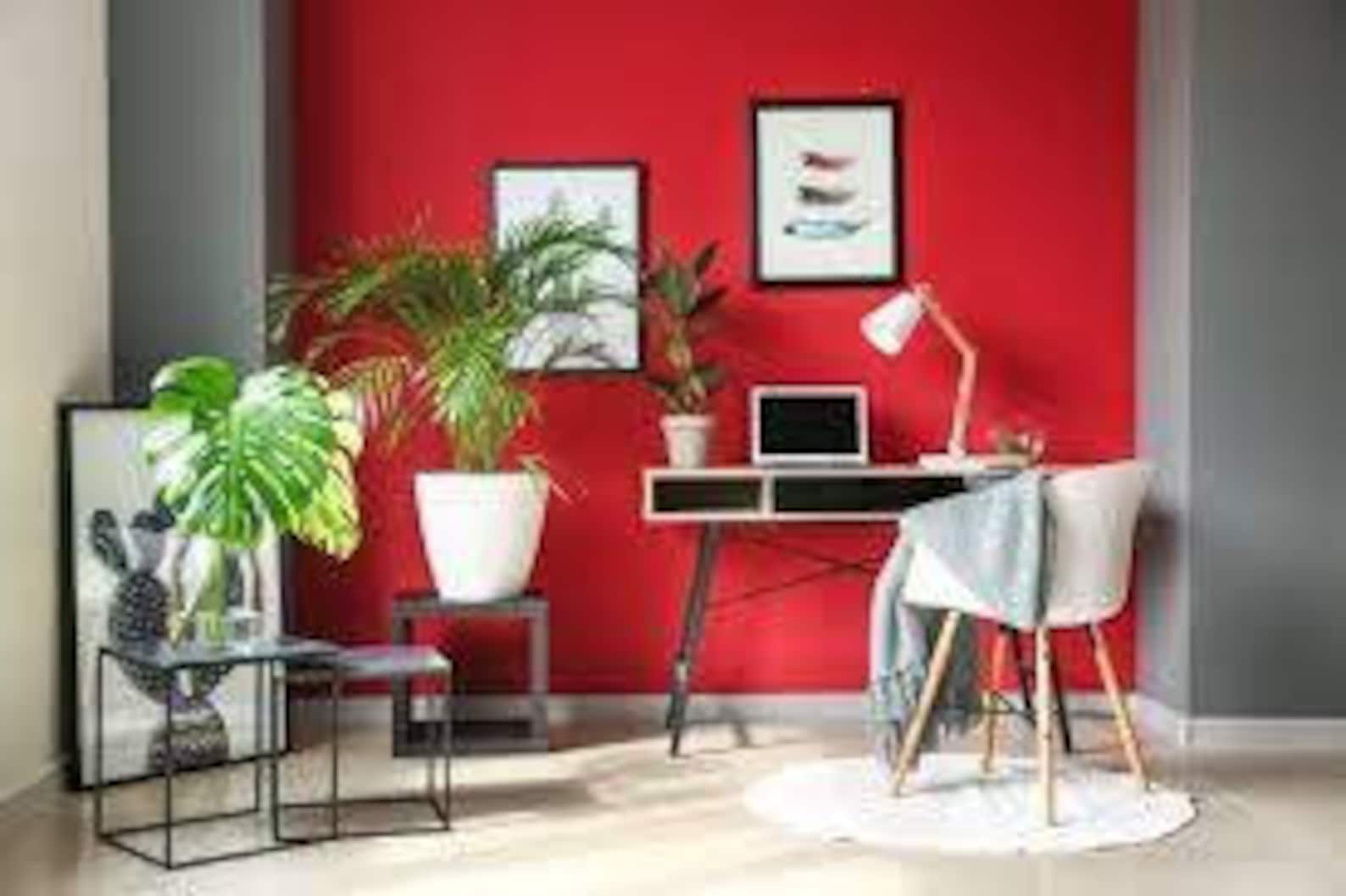 Top 9 Red Paint Colors Designers Use - Get That Designer Look - Etsy