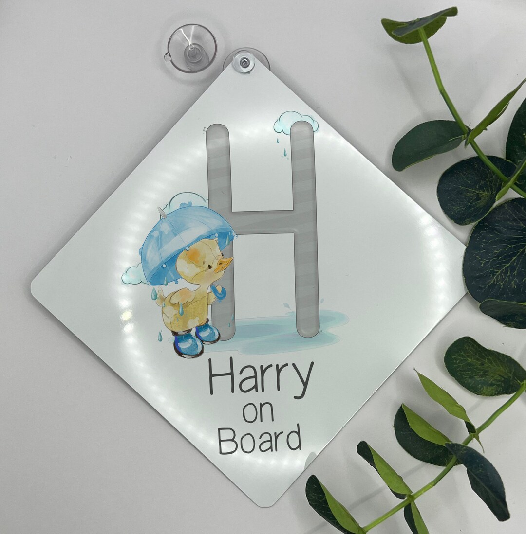Personalised Baby on Board Car Sign, Baby on Board Car Shades, Baby Car ...