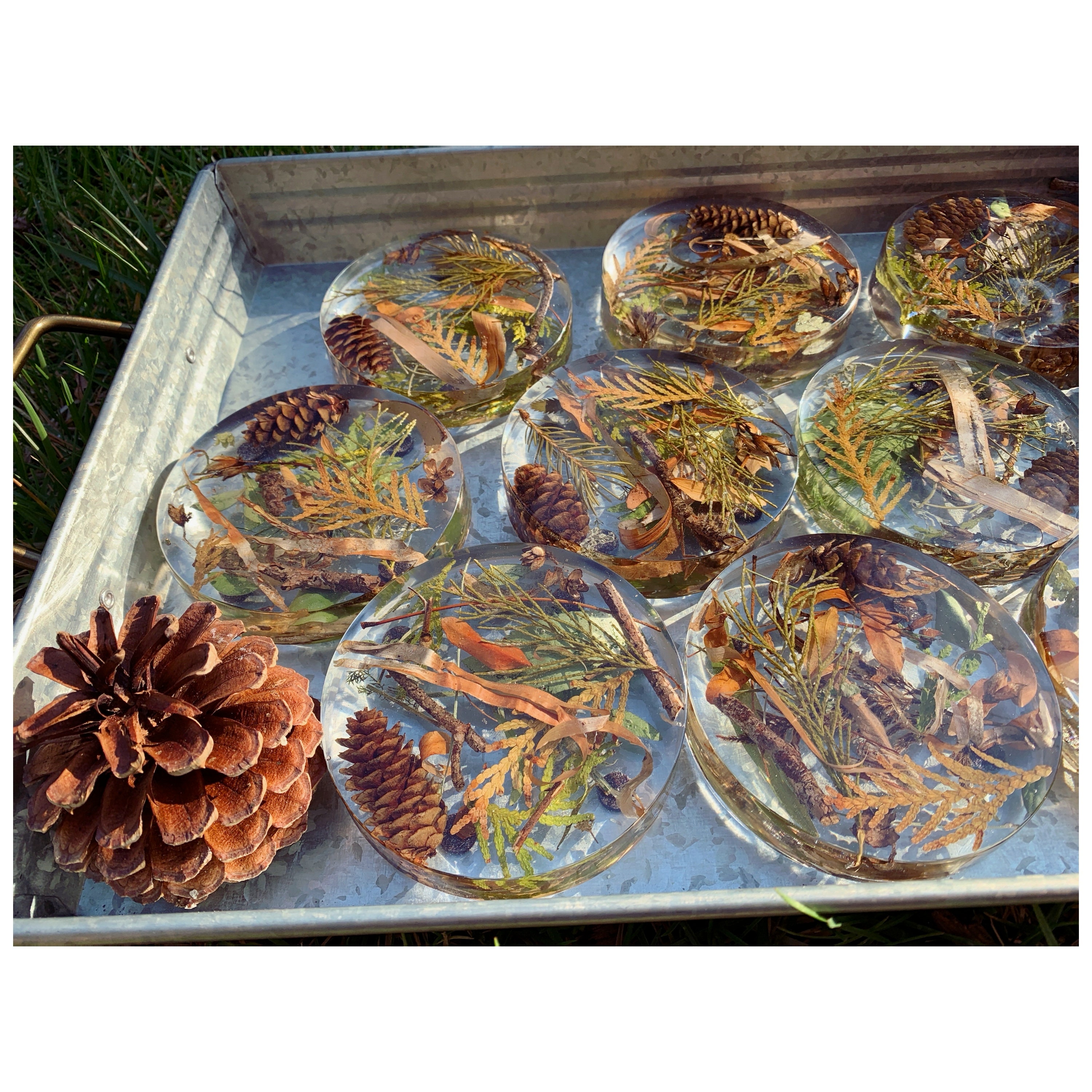 Rustic Nature Coasters Coaster Set Resin Epoxy Woodsy | Etsy