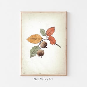 Vintage Chestnut Wall Art, Botanical Tree Branch Print, Fall Prints ...
