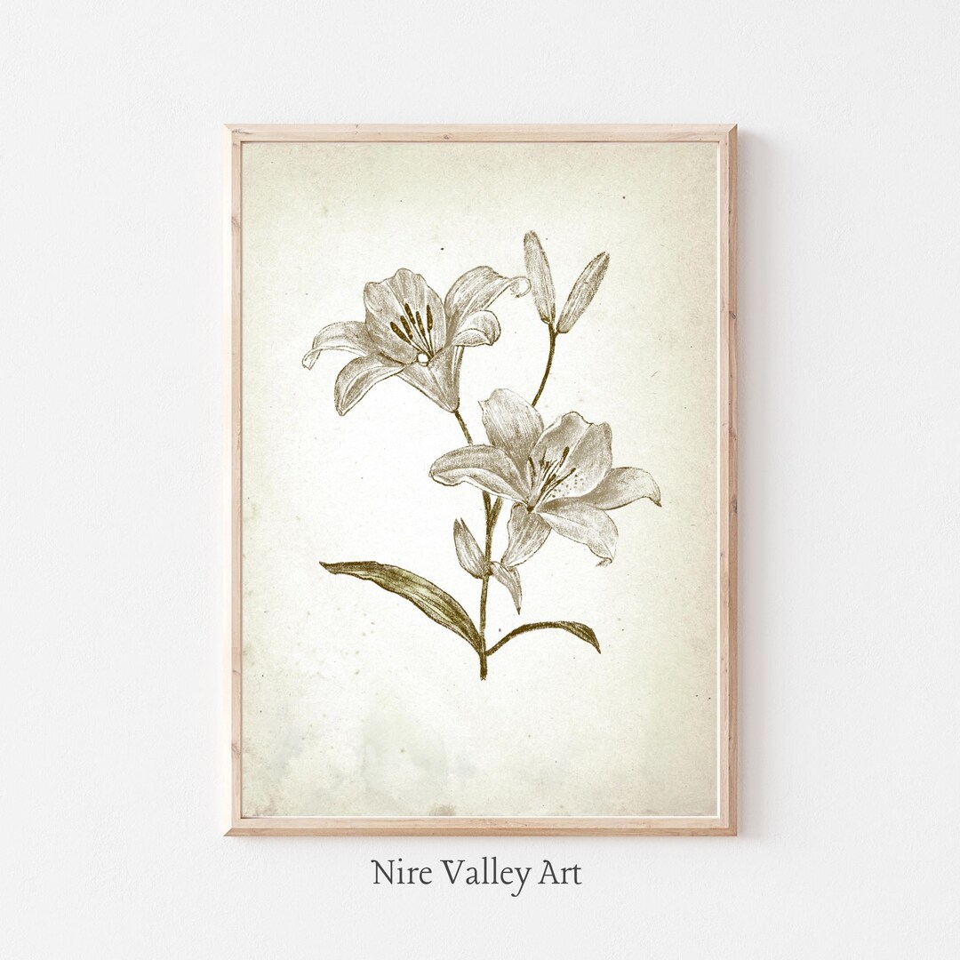 Vintage Lily Floral Print, Flower Wall Decor, Summer Gallery Wall Art ...