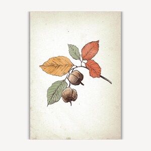 Vintage Chestnut Wall Art, Botanical Tree Branch Print, Fall Prints ...