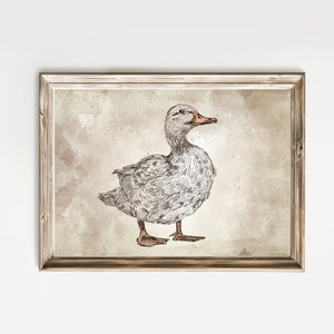 Vintage Duck Gallery Wall Print, Nursery Art Printable, Gender Neutral ...