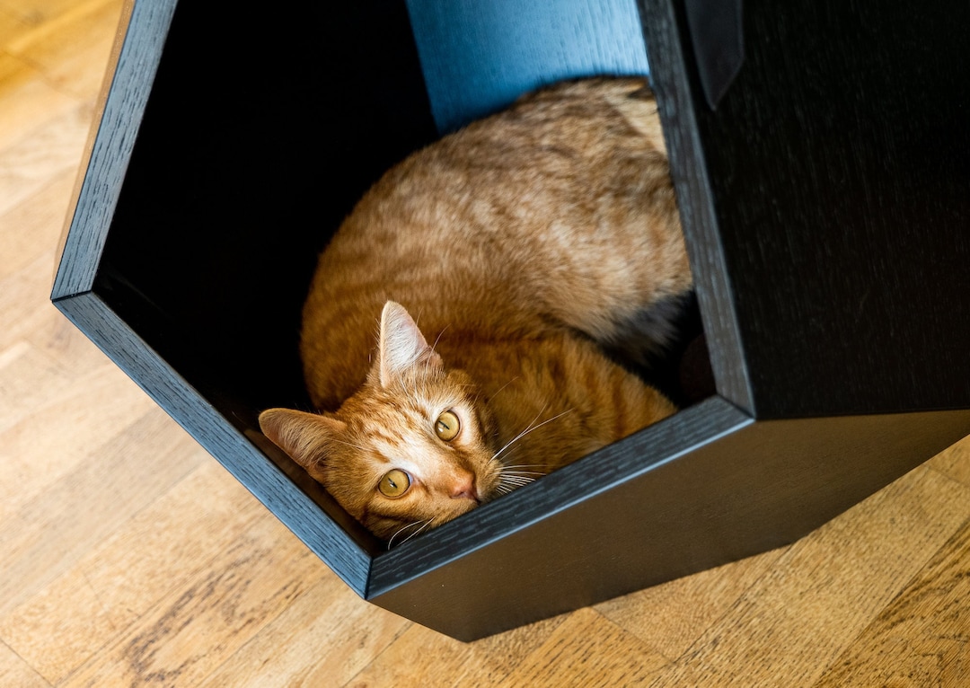 Modern Oak Veneered Black Painted Mdf Cat Bed Cat Cave Premium Designer ...